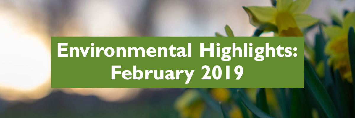 February 2019 - Environmental Highlights - Green Man Packaging