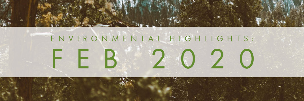 February 2020 - Environmental Highlights - Green Man Packaging